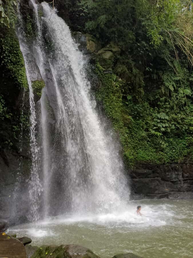 Bali: Sacred Monkey Forest, Rice Terraces & Ritual Tour - Sacred Monkey Forest Sanctuary