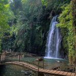 BALI :Sanctuary Monkey forest, rice terrace Water temple - The Itinerary Breakdown: A Day Packed With Highlights
