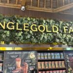 Bali: Sangeh Monkey Forest, Chocolate Factory & Temple Tour - A Practical Overview of the Tour