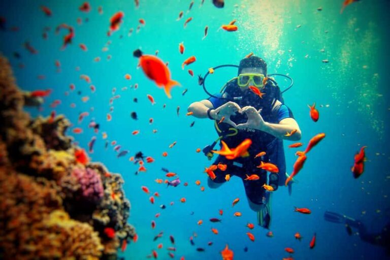 Bali: Scuba Diving Experience for Beginners and Families - The Sum Up