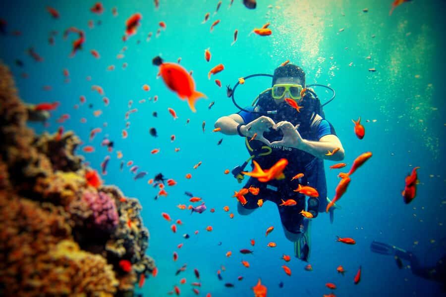 Bali: Scuba Diving Experience for Beginners and Families - The Sum Up