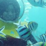 Bali: Sea Walker Under Water Experience - Who Should Consider This Tour?