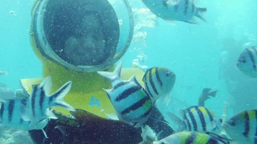 Bali: Sea Walker Under Water Experience - Who Should Consider This Tour?