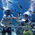 Bali: Sea Walker Watersport Nusa Dua With Hotel Transfer - Marine Life and Coral