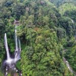 Bali: Sekumpul and Banyumala Waterfall Guided Trek - What to Expect and Practicalities