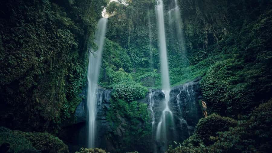 Bali: Sekumpul and Fiji Private Full-Day Waterfall Tour - Authenticity and Value