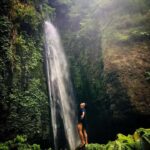 Bali: sekumpul Waterfalls, Rice Terraces, and fuji waterfall - Detailed Breakdown of the Itinerary