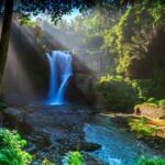 Bali: Shared or Private Highlights Ubud with Cretya Jungle - The Itinerary: A Deep Dive