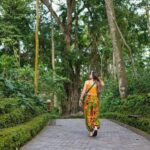 Bali Shore Excursion: Ubud, Rice Terraces & Waterfall - Who Will Love This Tour?