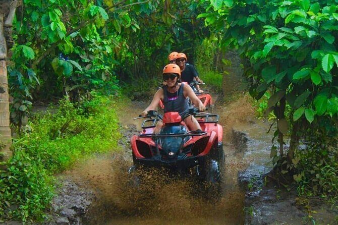 Bali Shore Excursions From Celukan Bawang Cruise Port Day Tour - In-Depth Look at the Itinerary