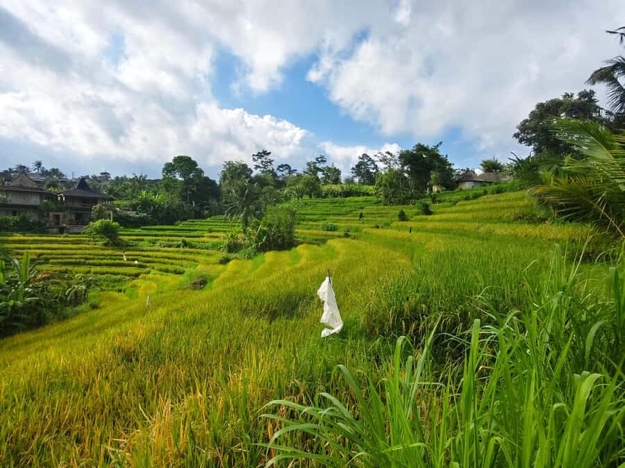 Bali: Sidemen Rice Field Trek and Local Lunch - Visiting a Local Family Compound