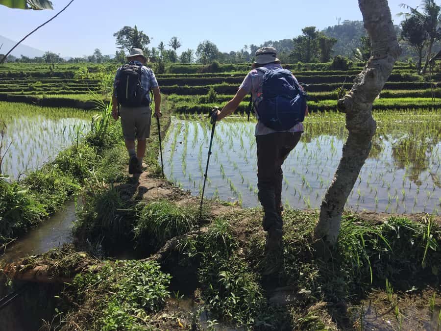 Bali: Sidemen Trekking with Besakih Temple Tour/Rafting - The Highlights of the Trek