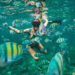 Bali : Snorkeling at two Spots with Lunch and transport - Why Choose This Tour?