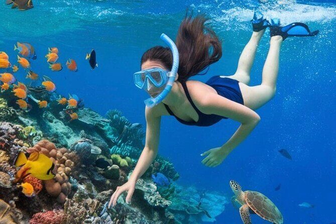 Bali Snorkeling Blue Lagoon Beach Include Lunch & Transport - The Value of the Tour