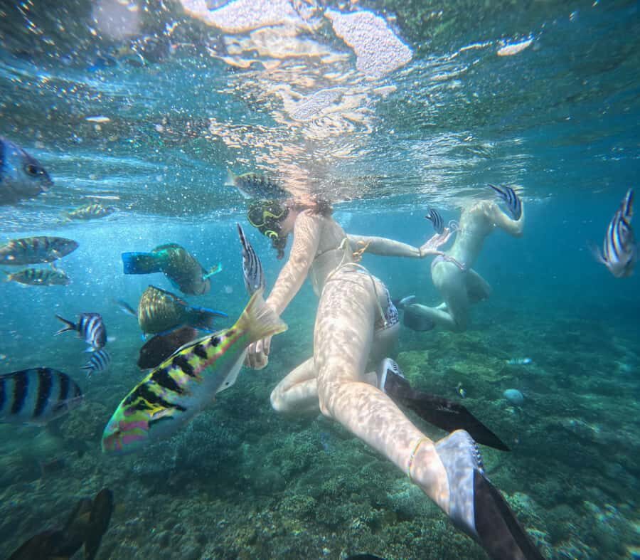 Bali: Snorkeling Experience in Blue Lagoon and Tanjung Jepun - What to Expect from the Tour