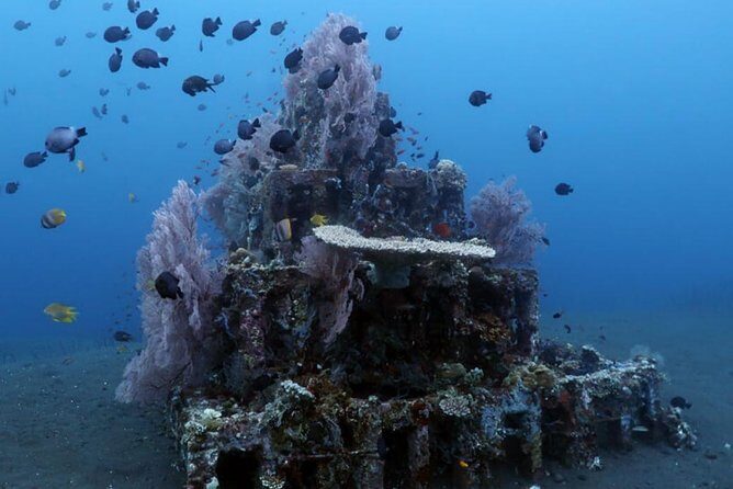 Bali Snorkeling Tour at Amed - What to Expect from This Bali Snorkeling Tour