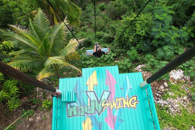 Bali Style Swing and Dunn's River Falls - The Overall Value