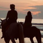 Bali Sunrise Horse Riding Experience Include Transfer - Final Thoughts: Who Is This Tour For?