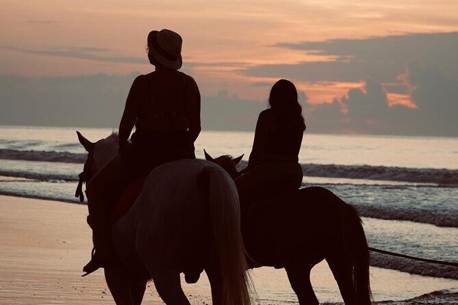 Bali Sunrise Horse Riding Experience Include Transfer - Final Thoughts: Who Is This Tour For?