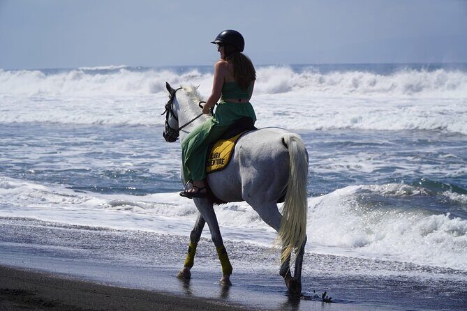 Bali Sunrise Horse Riding Sanur Beach Tour Include Transport - The Itinerary — What You Can Expect