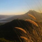 Bali Sunrise, Tirta Empul Temple and Tegalalang Rice Terrace - The Value of This Tour