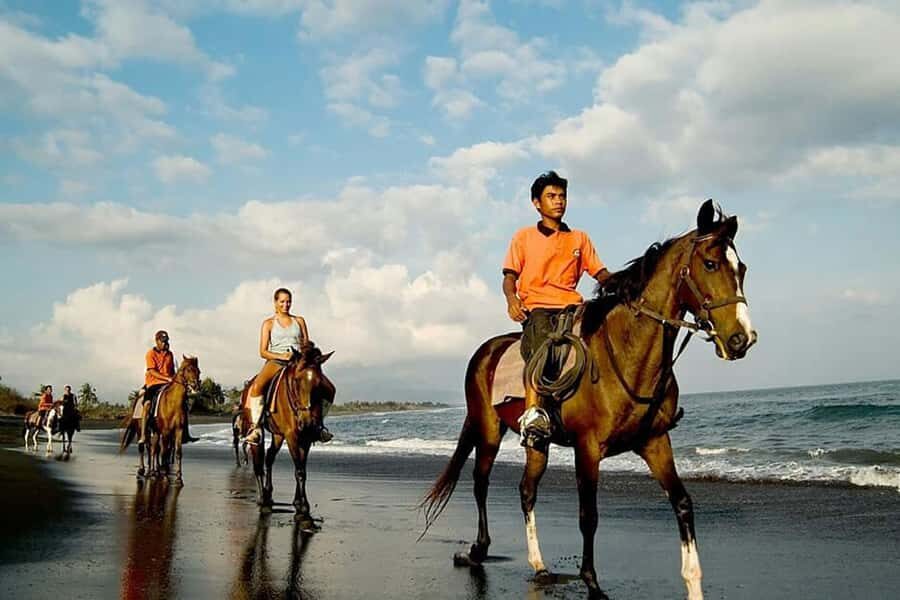 Bali Sunset Horse Ride by the Kedungu Beach - The Ride Itself