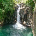 Bali: Swimming with dolphin & waterfal tour, all inclusive. - Who Should Consider This Tour?