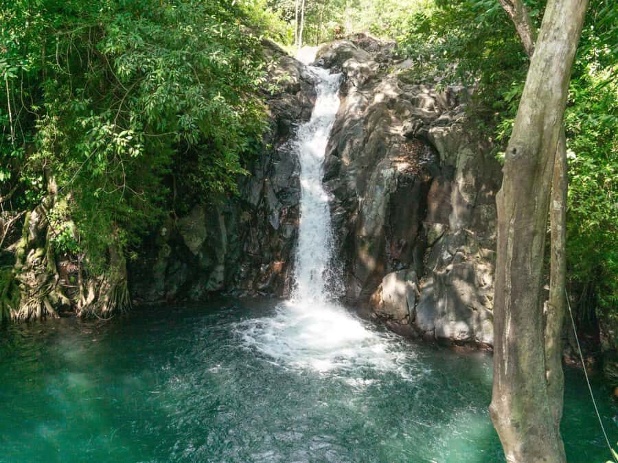 Bali: Swimming with dolphin & waterfal tour, all inclusive. - Who Should Consider This Tour?