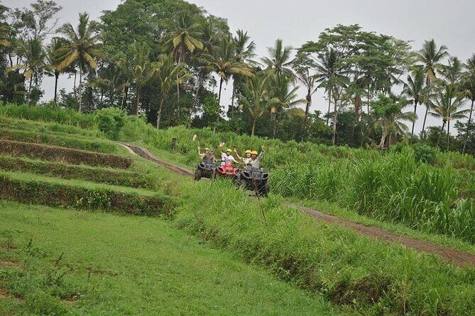 Bali Swing heaven combine ATV ride ubud - Analyzing the Value