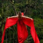 Bali Swing, Monkey Forest and Waterfall - Private Tour - Bali Swing