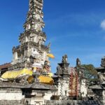 Bali Swing Packages and Denpasar City Private Tour - What’s Special About This Tour?