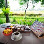 Bali: Taman Ayun, Jatiluwih, Ulun Danu, and Monkey Forest - Exploring the Key Stops