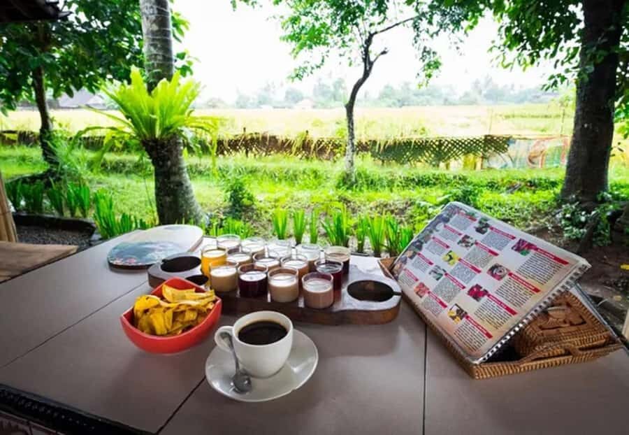 Bali: Taman Ayun, Jatiluwih, Ulun Danu, and Monkey Forest - Exploring the Key Stops