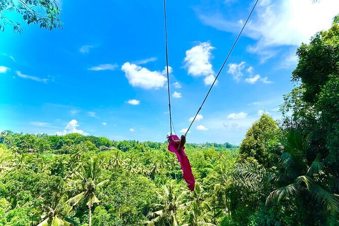 Bali Taman Grya Beji Waterfall and Jungle Swing Private Tour - Who Should Consider This Tour?