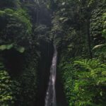 Bali: Tanah Lot, Monkey Forest, & Waterfalls Full-day Tour - Authentic Feedback & What Travelers Say
