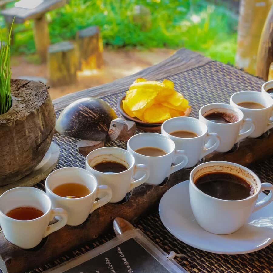 Bali Tanah Lot Temple Tour - Practical Tips for Your Visit