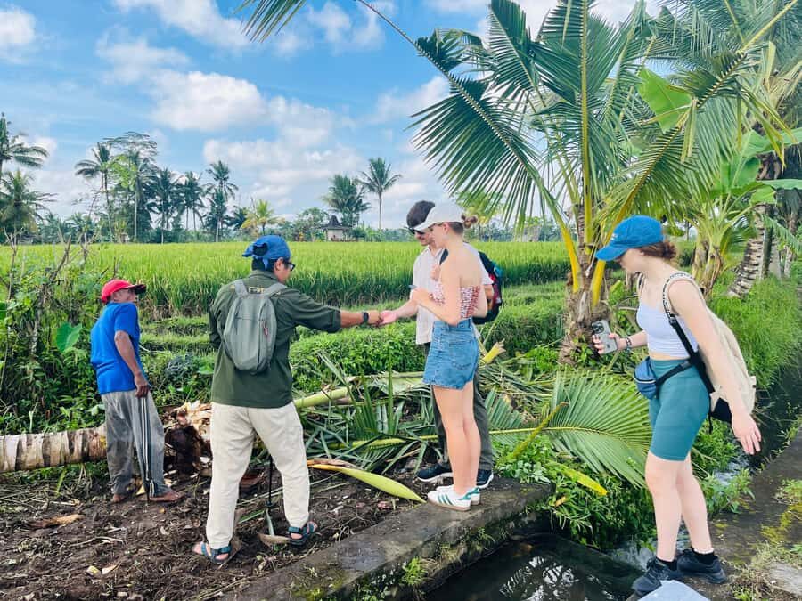 Bali: Taro Village Trek with Rice Terraces and Vegan Feast - Why This Tour Offers Real Value