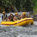 Bali: Telaga Waja River Rafting Small-Group Tour with Lunch - Who Should Consider This Tour?