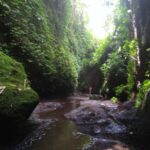 Bali: Tibumana, Tukad Cepung, Kanto Lampo, & Tegenungan Tour - What Travelers Say