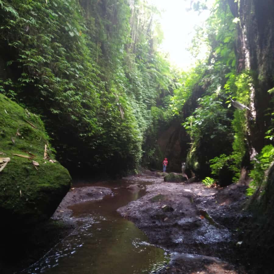 Bali: Tibumana, Tukad Cepung, Kanto Lampo, & Tegenungan Tour - What Travelers Say