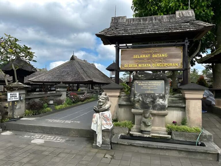 Bali: Tradisional Village, Bamboo Forest & Temple Tour - The Practical Side: What to Expect