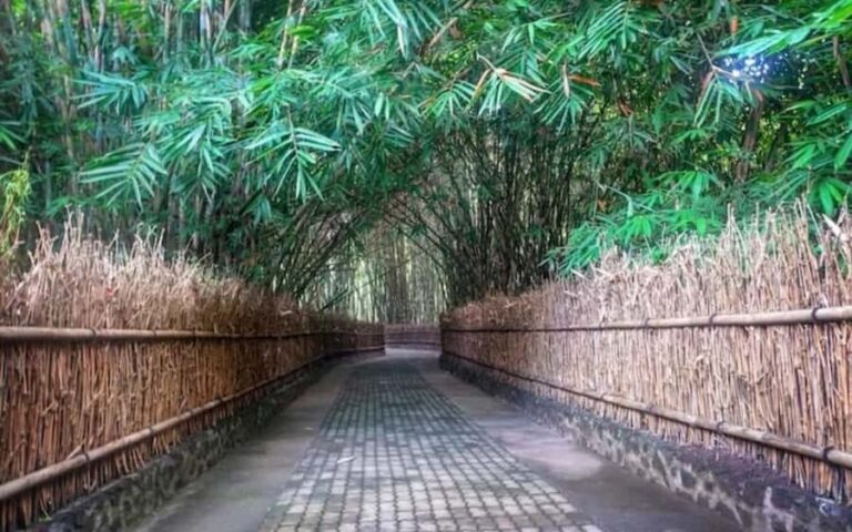 Bali: Traditional Batik & Life in Penglipuran Village - Transportation, Group Size, and Pricing