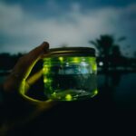 Bali Traditional Village Cooking & Magical Fireflies Tour - The Experience, Step-by-Step