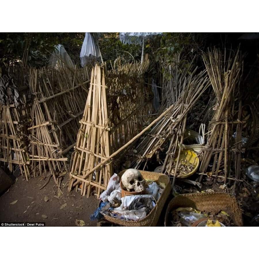 Bali: Trunyan Village & Lake Batur Sunset Boat Tour - The Practical Side: What’s Included and What to Know