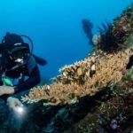 Bali: Tulamben Scuba Diving Experience - Practical Tips for a Smooth Experience