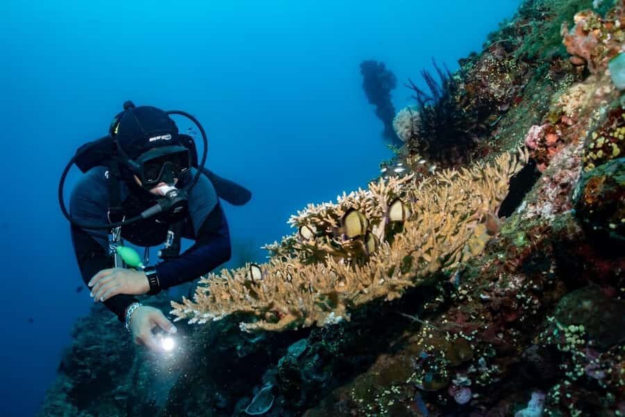 Bali: Tulamben Scuba Diving Experience - Practical Tips for a Smooth Experience