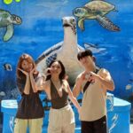 Bali: Turtle Conservation and Education Tour & Local Market - What Makes This Tour Stand Out?