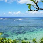 Bali: Turtle Conservation, Beach and Uluwatu Tour - Customization & Tour Options