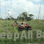 Bali: Ubud Atv Quad Bike With Lunch - Who Will Love This Experience?