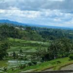Bali: ubud costumize tour with private driver - Itinerary Breakdown